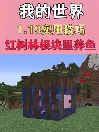 我的世界:119版本必学的实用技巧,在红树林根块里养鱼mc