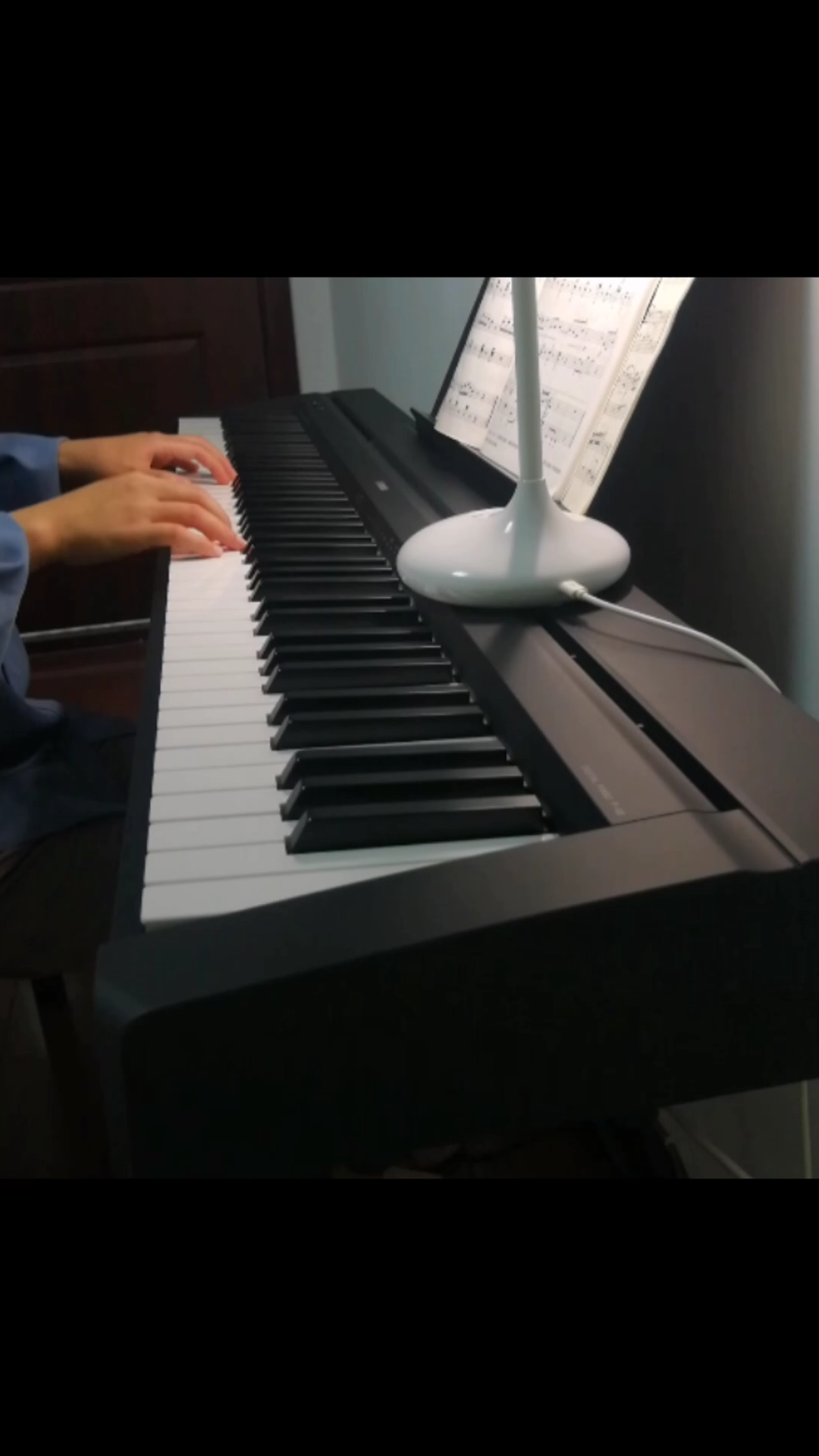 钢基1 《斗牛士之歌》歌剧《卡门》选曲—法国钢琴作曲家、钢琴演奏...