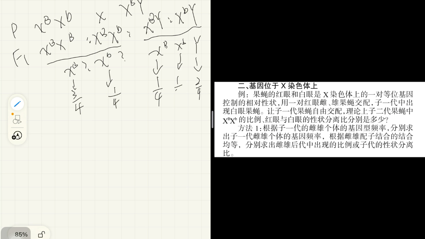 高中生物遗传题计算