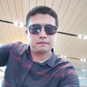 丽阳牲畜市场高总 