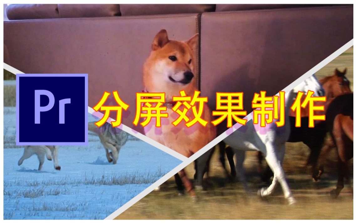 pr分屏预设及使用教程