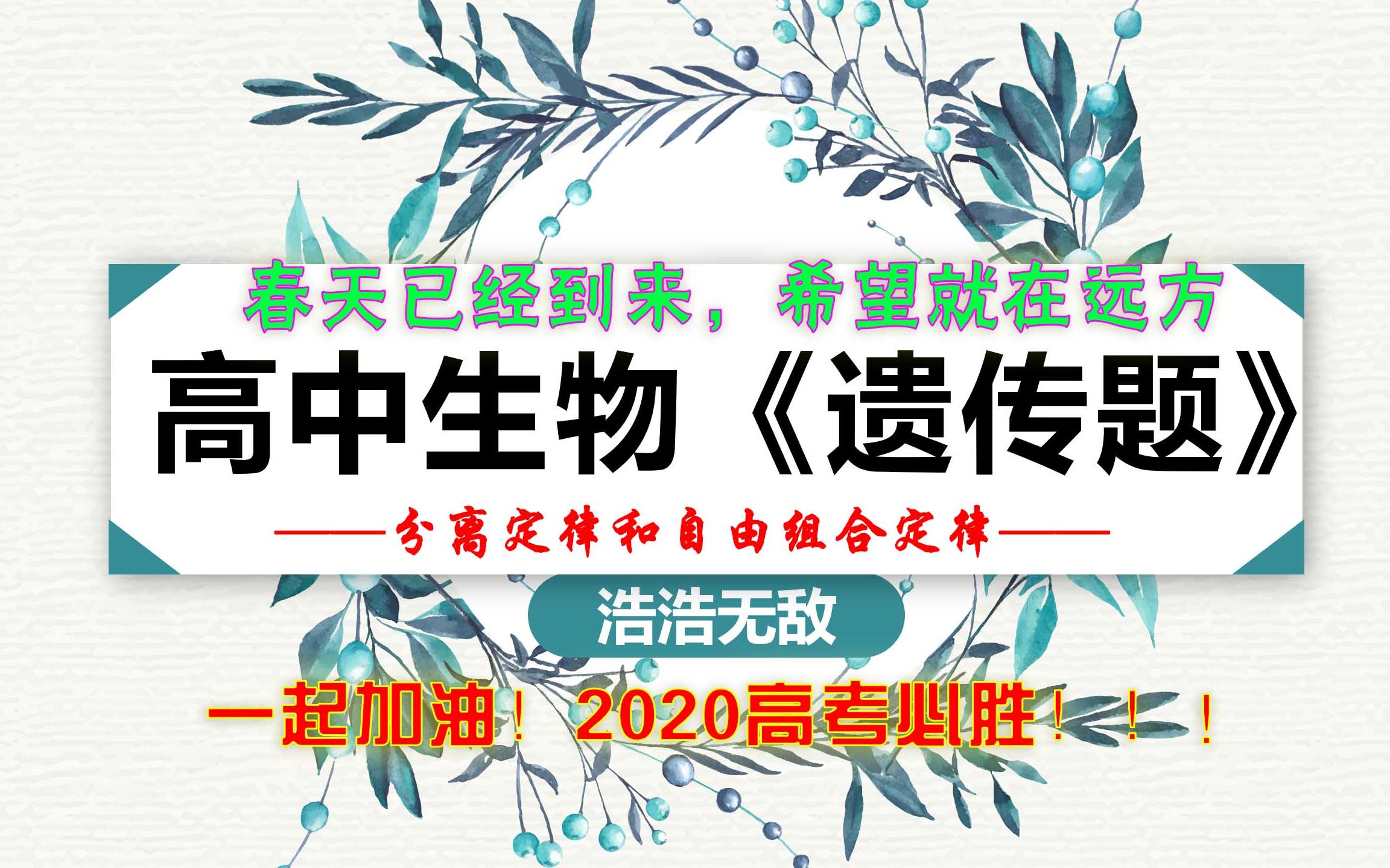 【高中生物】分离定律和自由组合定律——浩浩无敌