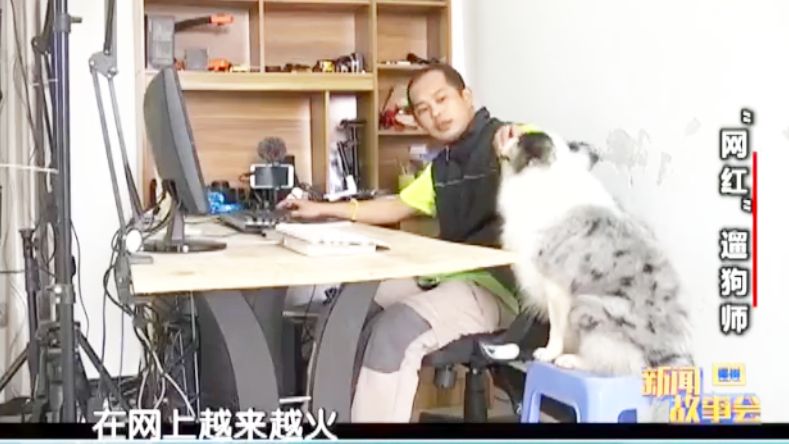 IT工程师放弃高收入做起“遛狗”生意一夜之间爆红究竟有何高招?