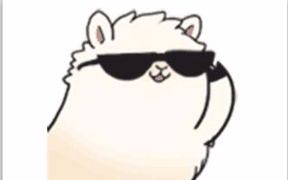 如何制作一个简单的网页（小白新手向）