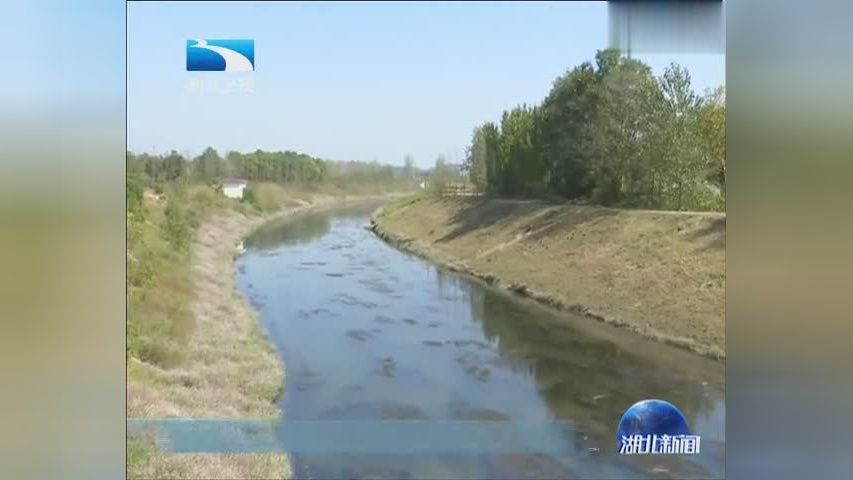 孝感应城:综合整治养殖污染 着力改善生活环境