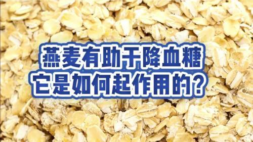 糖友应知应会:燕麦有助于降血糖,它是如何起作用的?