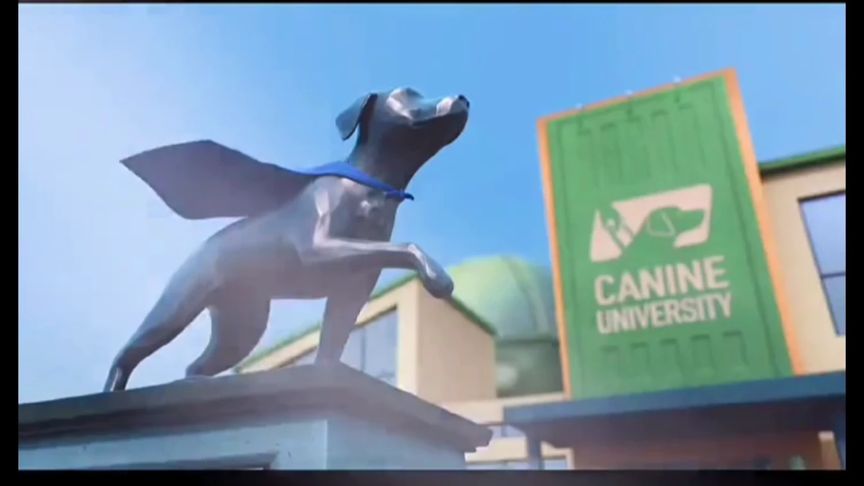 论实践与学习重要性