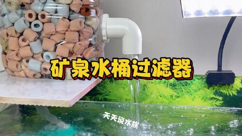 手把手教你DIY鱼缸过滤器,省钱又实用!