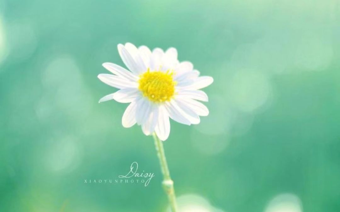 ICH·E10:临床试验中对照组的选择