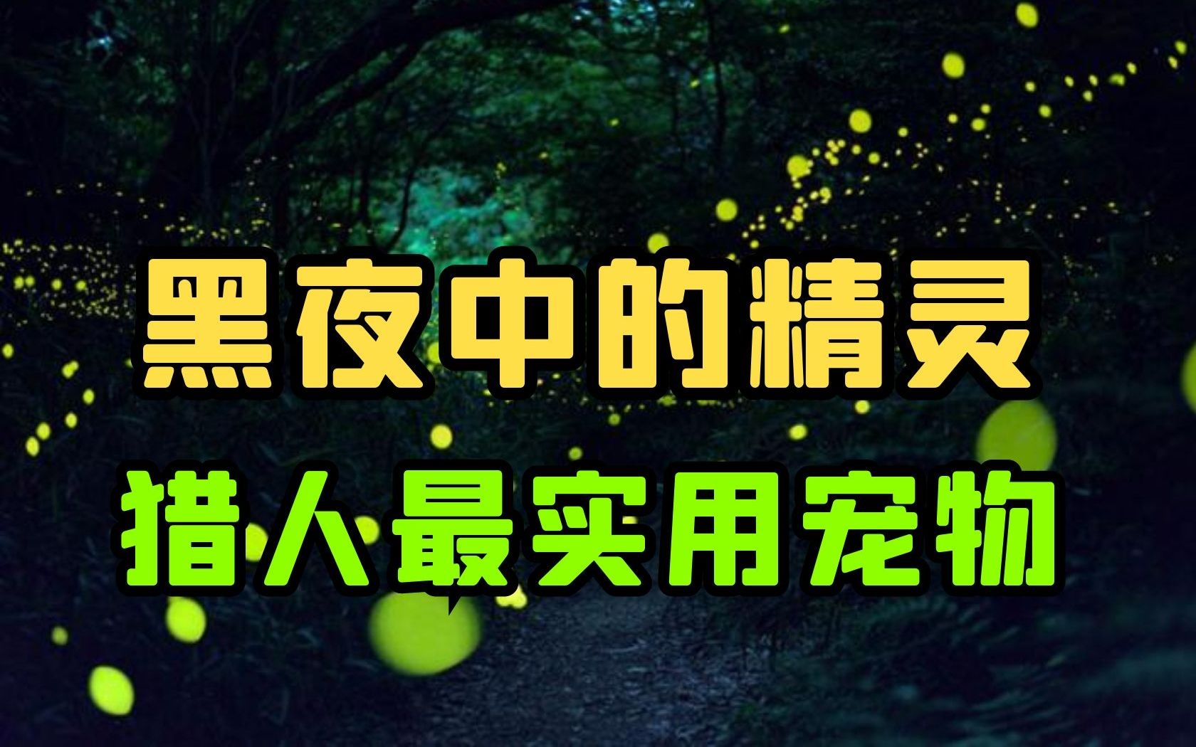 【老司机】兼顾PVE和PVP的猎人宠物,黑夜中的精灵,萤火虫八色抓捕...
