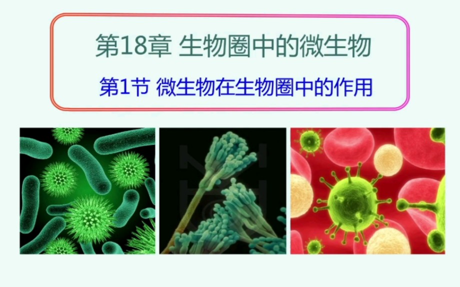 ...版 八年级上册 第18章 第1节 微生物在生物圈中的作用(第1课时 细菌)