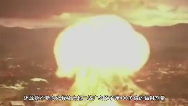 30多年前,切尔诺贝利遭人类遗弃,如今大自然将它夺回.