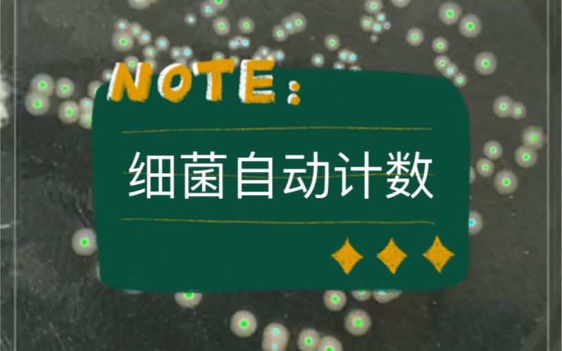 细菌自动计数,全自动,智能化,解放双手,科研日常好帮手,软件应用安利,...