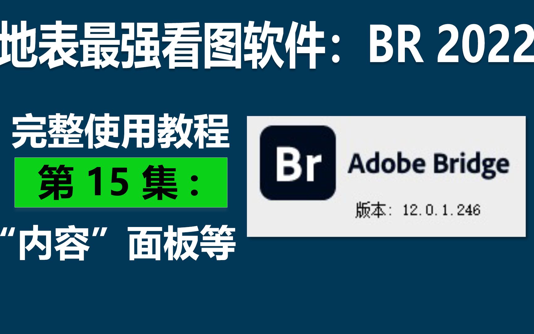 地表最强看图软件:BR2022 完整教程 第15集--内容等4个面板