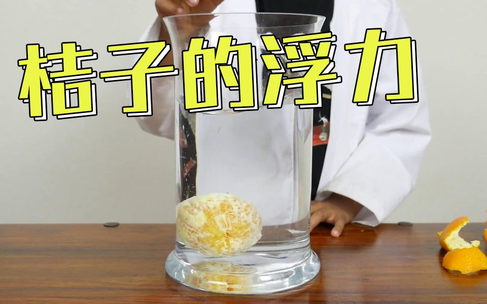 【儿童科学实验】桔子的浮力—同样是桔子,脱皮和不脱皮区别咋这么...