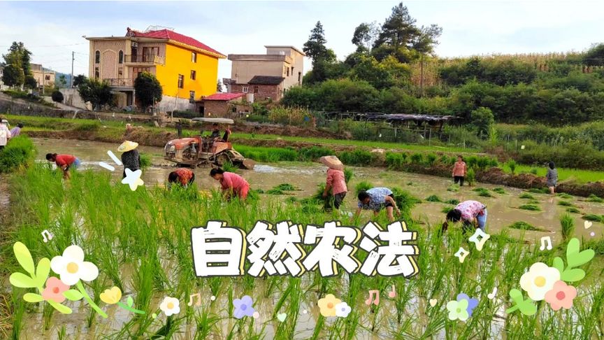 现代农业和传统农业的本质区别是什么?一个治标,一个治本。