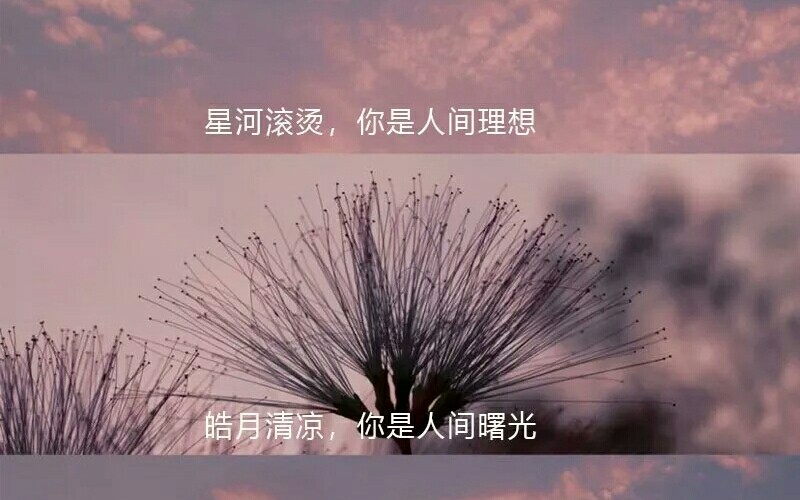 午后|一杯清茶,一首诗词|自律|继续高效学习