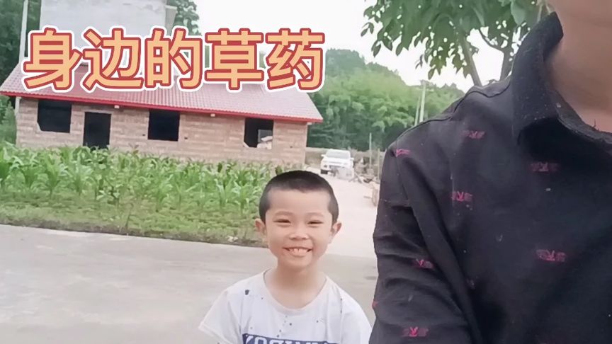 中草药爱好者。身边的草药夜交藤