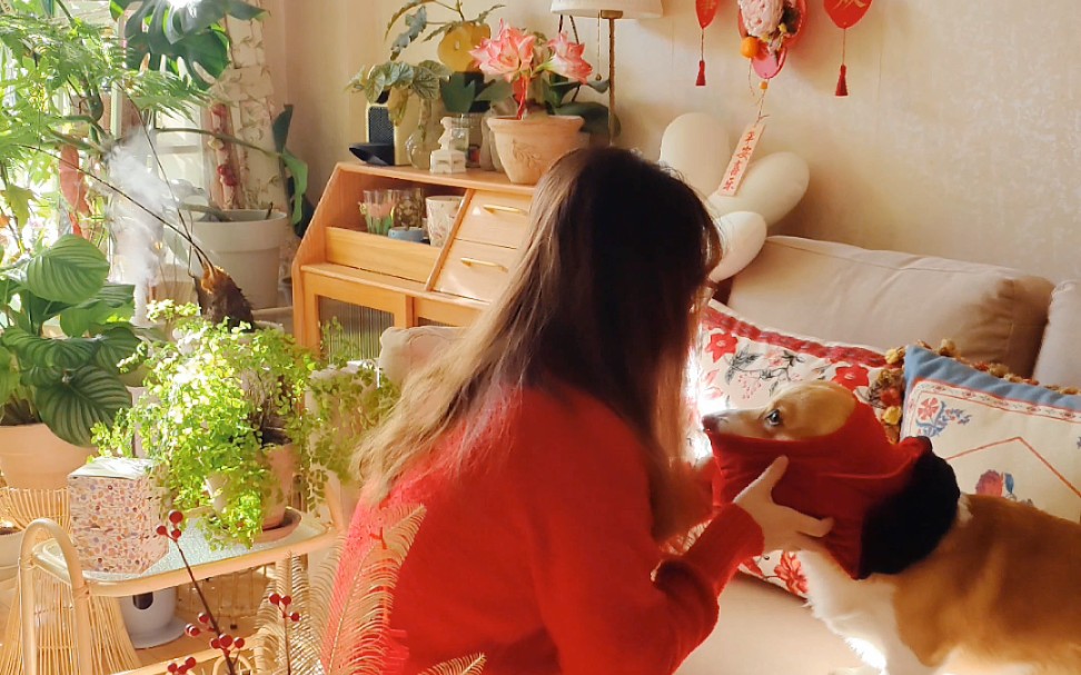 新年新气象～如何打造家里的新年氛围感!