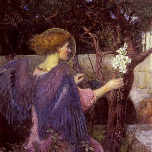 Moon_tarot月下塔罗 