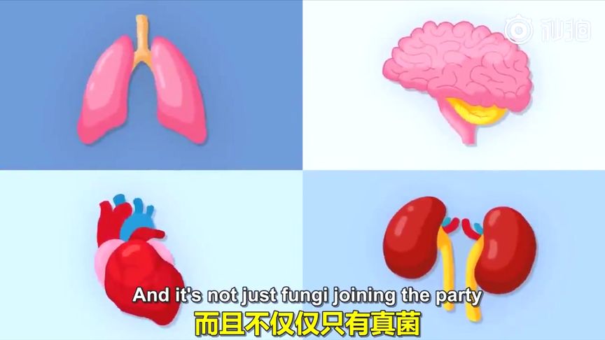 #不勤洗床单被套有多可怕# 不但容易使你长痘痘,严重影响健康