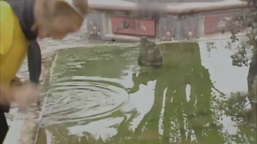 西游:这人参果竟有此等功效,真神仙果啊,难怪贵重