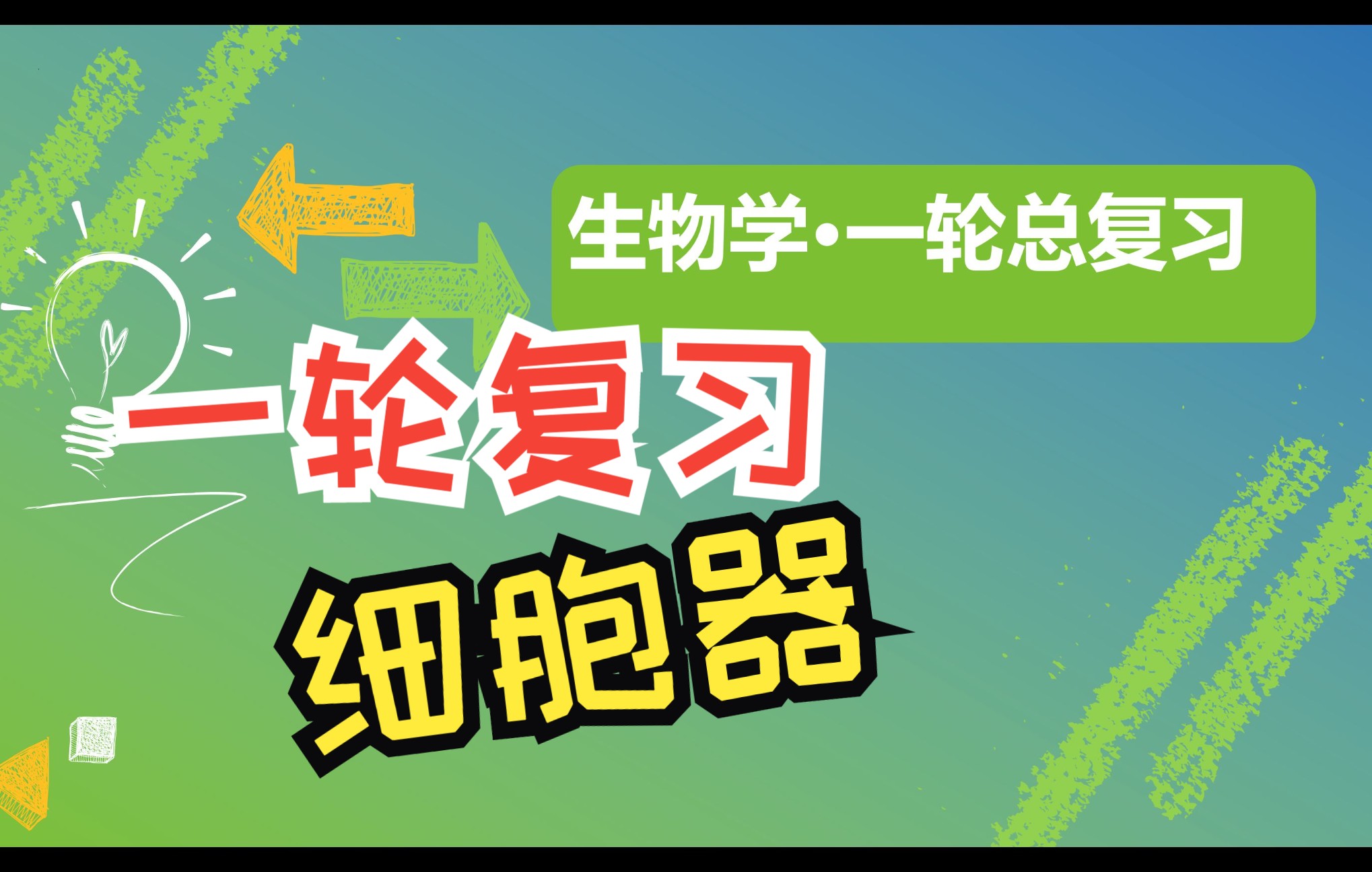 【生物一轮复习】2.2-2细胞器的分工习题 高中新高考全国通用新教材...