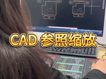 CAD参照缩放用法