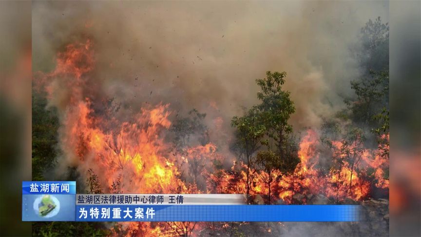森林防灭火需知道:人为造成森林火灾要承担法律责任