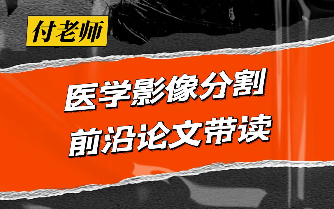 {精读文献}医学影像分割前沿论文带读