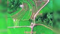 福鼎是一座美丽的滨海城市,这里的风景秀丽,气候宜人,物产丰富