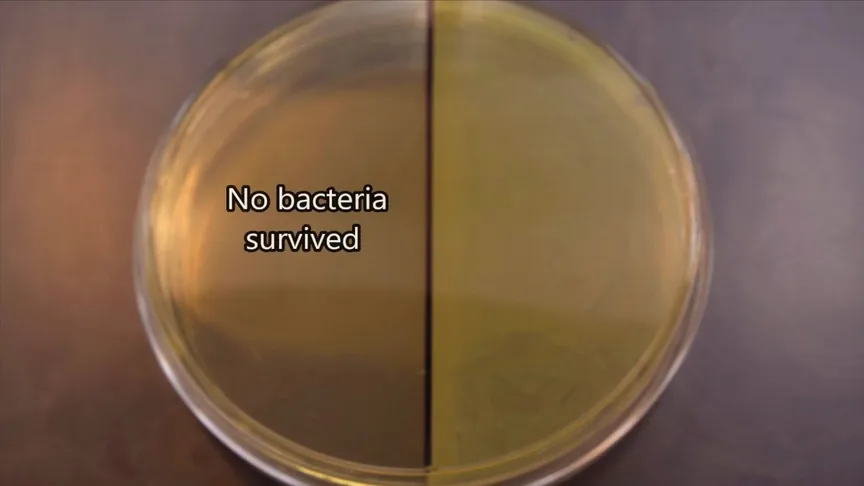 紫外线对细菌繁殖的影响 紫外线光损伤细菌DNA 细菌培养实验