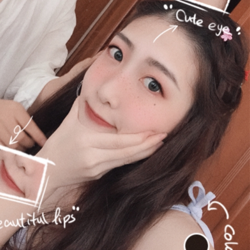 PP--重启版 