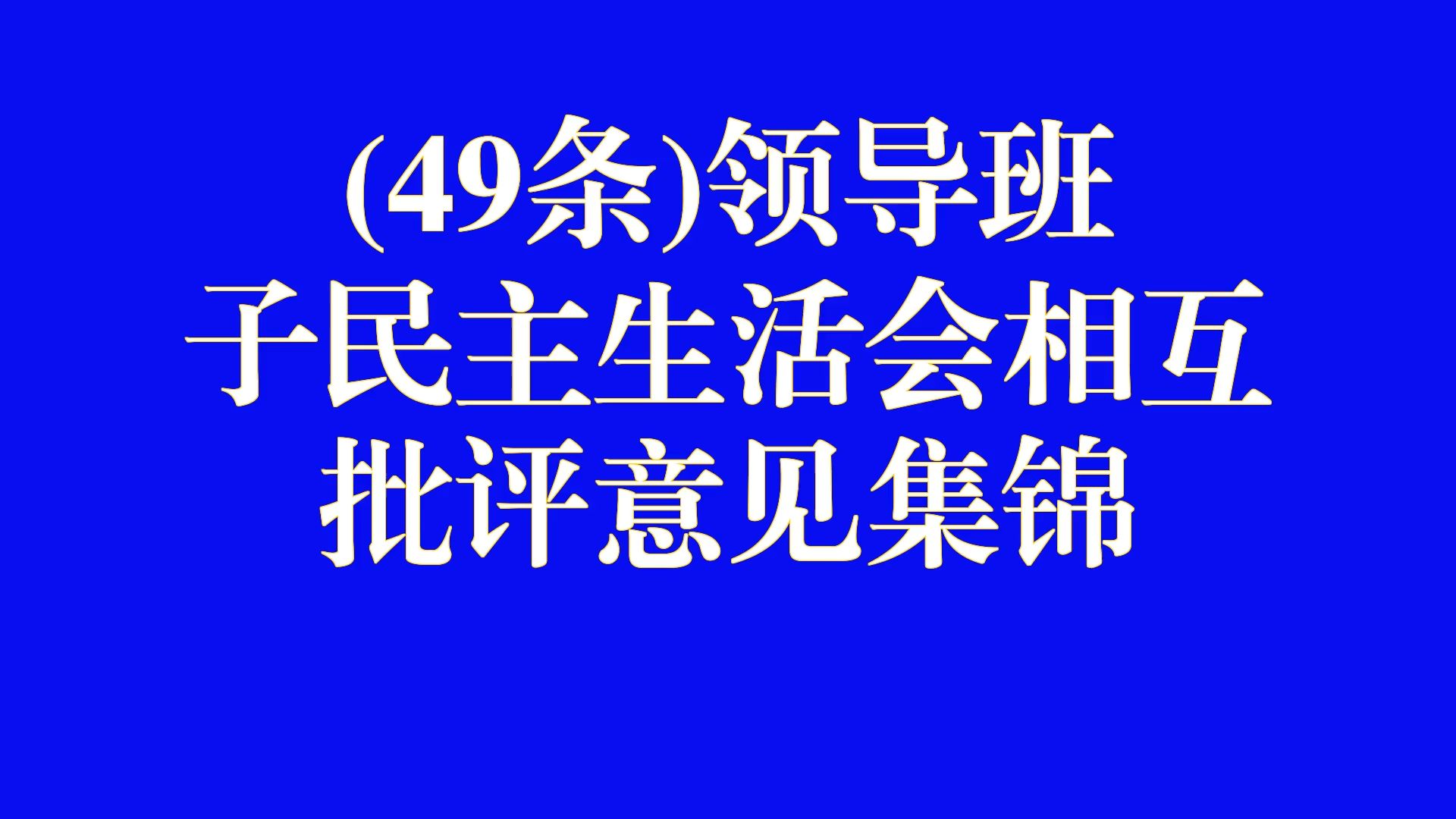 (49条)领导班子民主生活会相互批评意见集锦