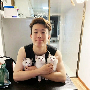养猫的花伦 