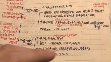 【复习自用~病理学】12.淋巴造血系统疾病(仅淋巴瘤)