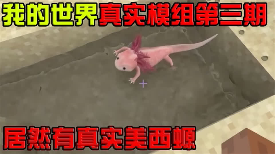 我的世界:真实模组第三期