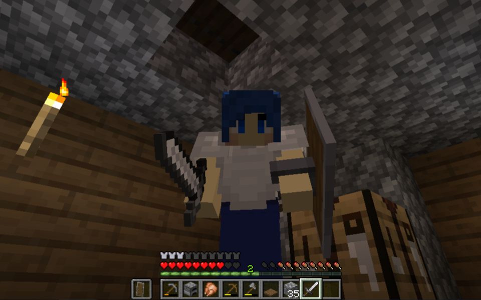 【Minecraft】是我电脑太卡的问题吗?