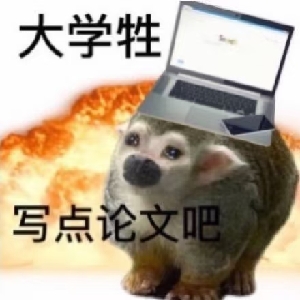 聪明与机智