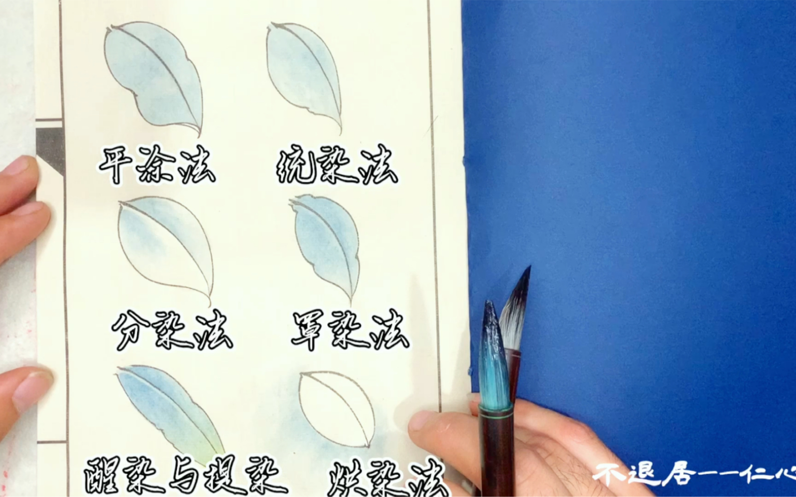 自学工笔画教程|【基础技法】简单好学