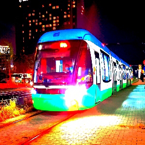 乍得只有一条路 