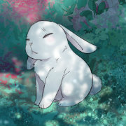自由的风精灵 
