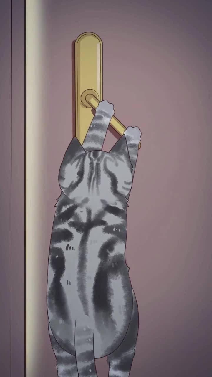 动漫:有了猫,上厕所不再孤单了