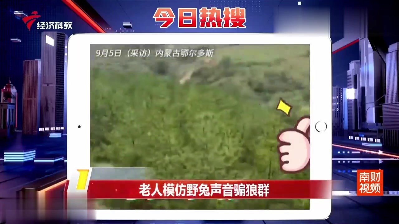 老人模仿野兔声音骗狼群