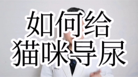 如何给猫咪导尿?