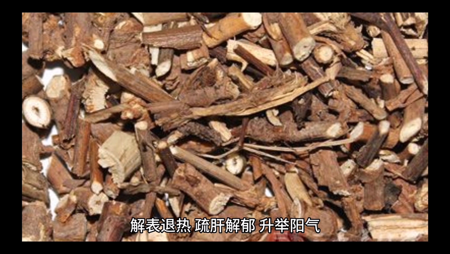 柴胡的功效与作用