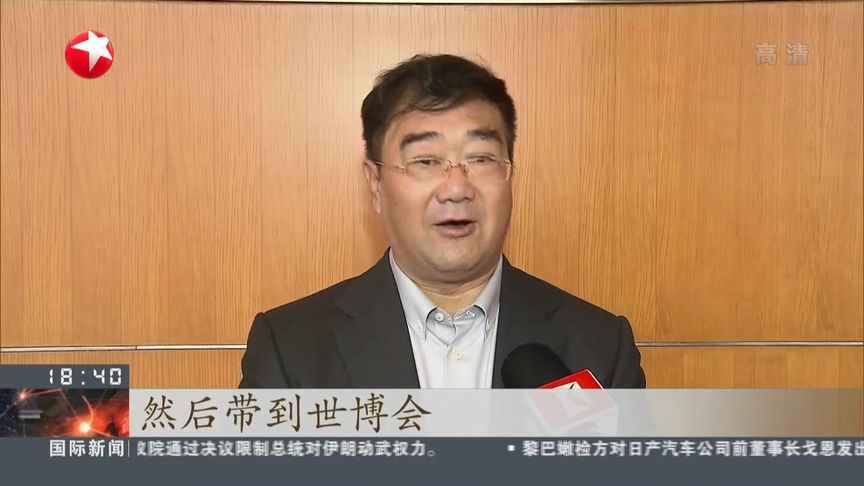 2020迪拜世博会:中华文化馆将亮相 打造文化、民心沟通桥梁