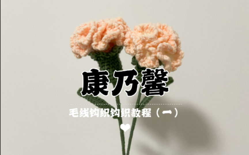 毛线钩织|花束系列|康乃馨(一)