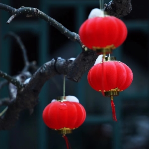 bioqingshan 
