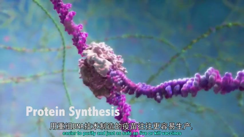 【3D演示】基因工程(字幕版+原版)